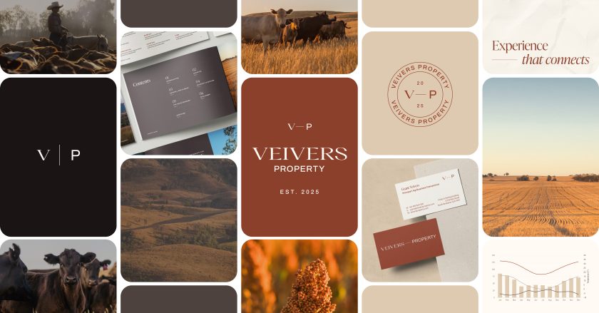 Crafting a distinctive brand identity for Veivers Property